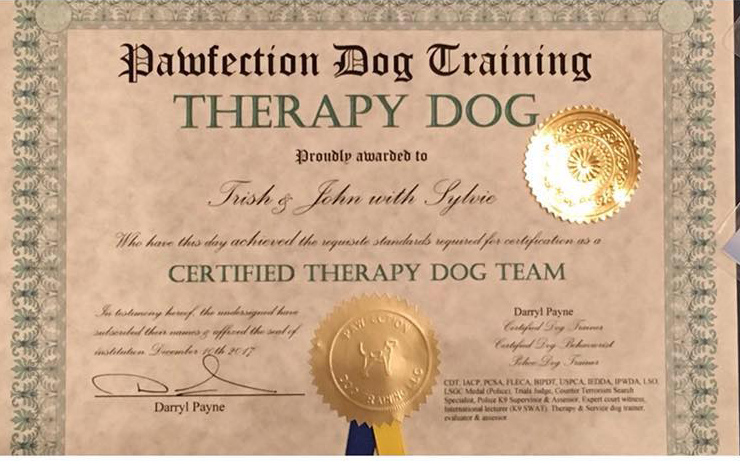 Certificado THERAPY DOG